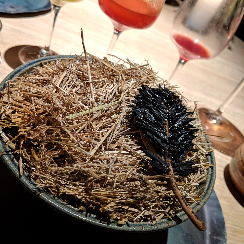 Idiot Goes to Noma in Denmark, Pays $500 For The Craziest Dinner Ever