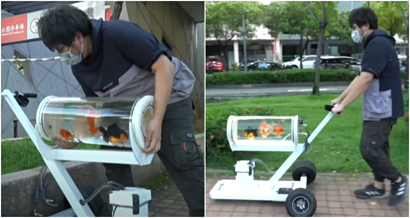 Taiwanese man takes pet fish for a walk with ingenious ‘fish stroller ...